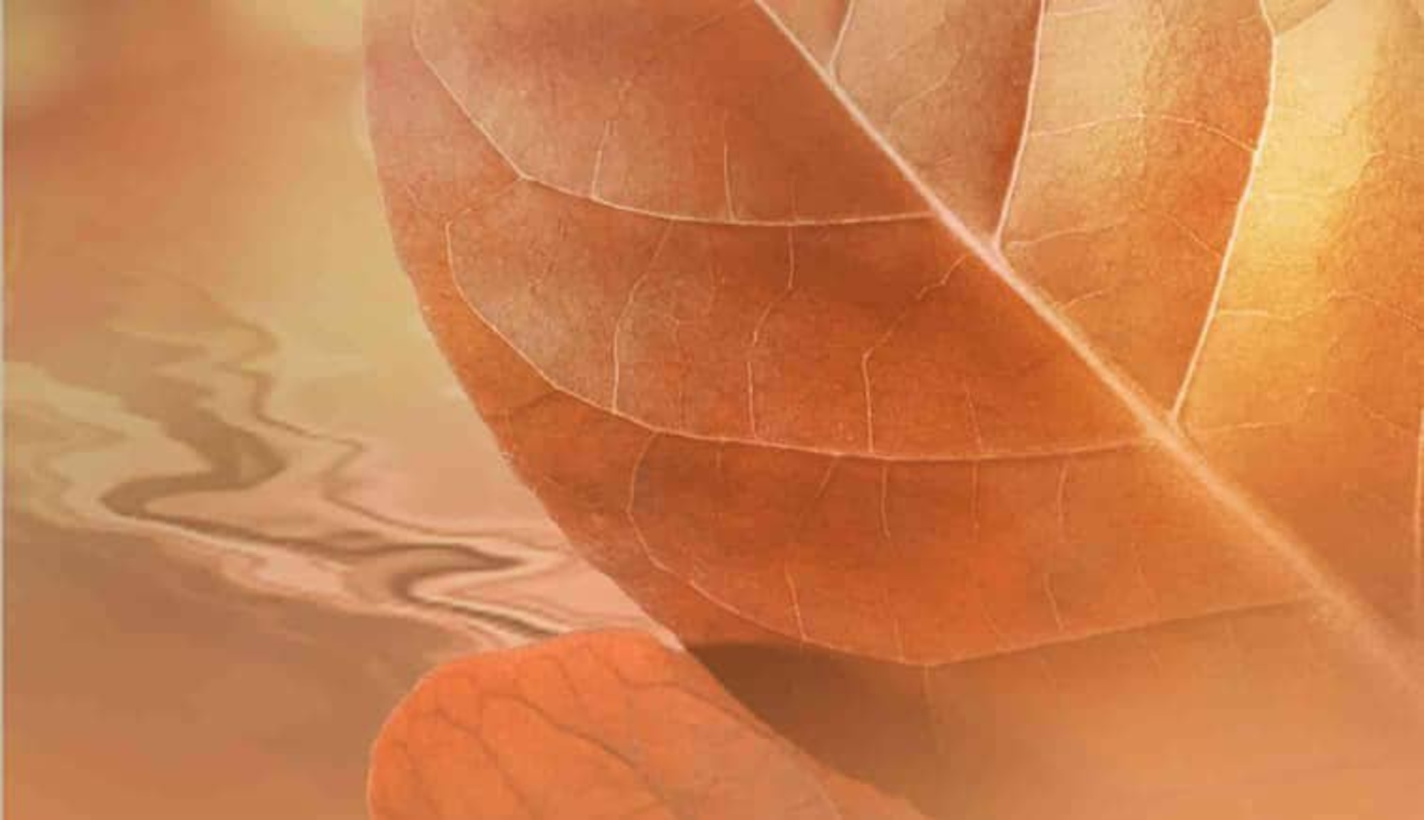 Feel The PULZE – podgrzewacz tytoniu | Pulze.pl